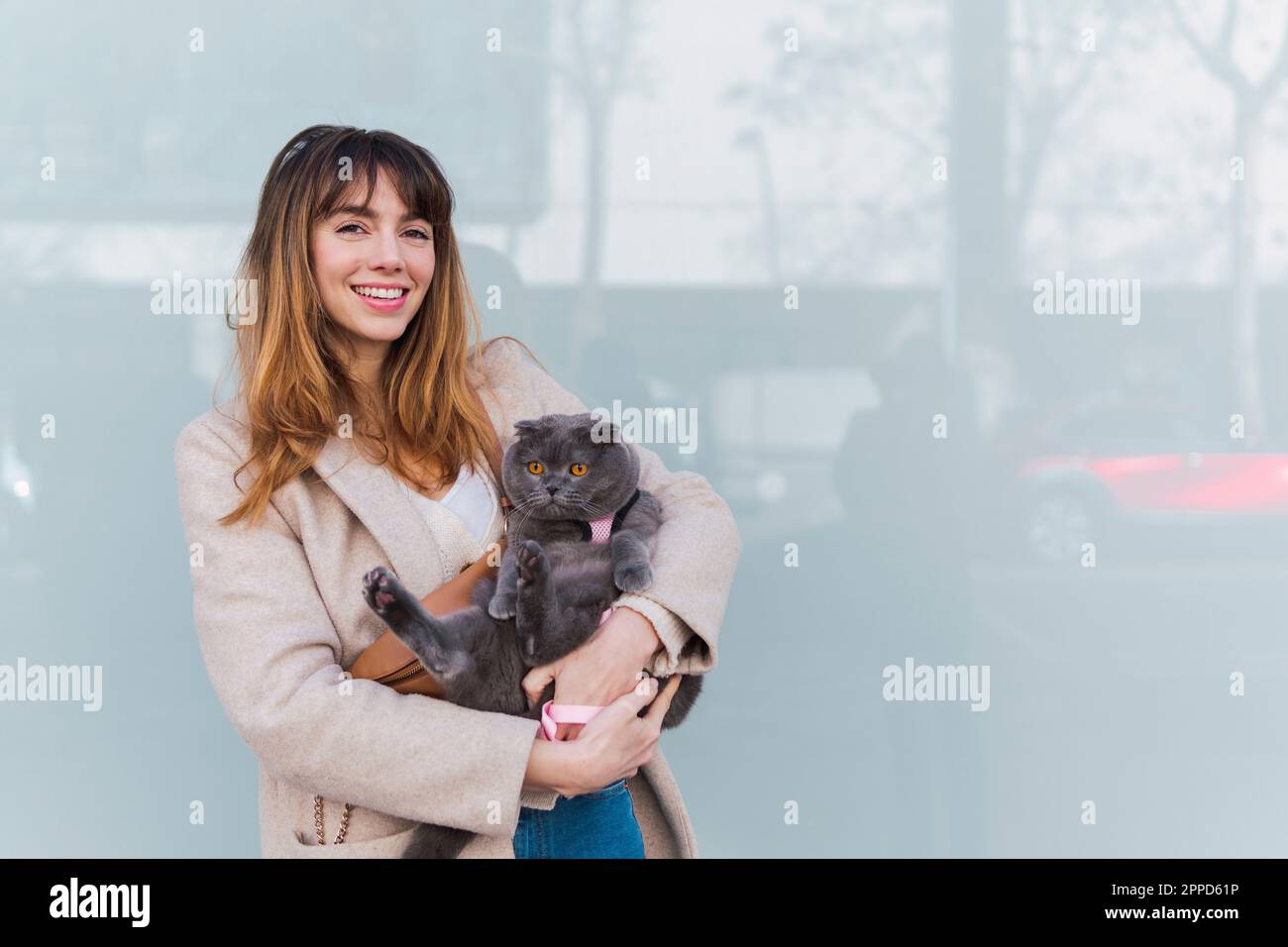 Happy woman holding cat standing in front at wall Stock Photo - Alamy