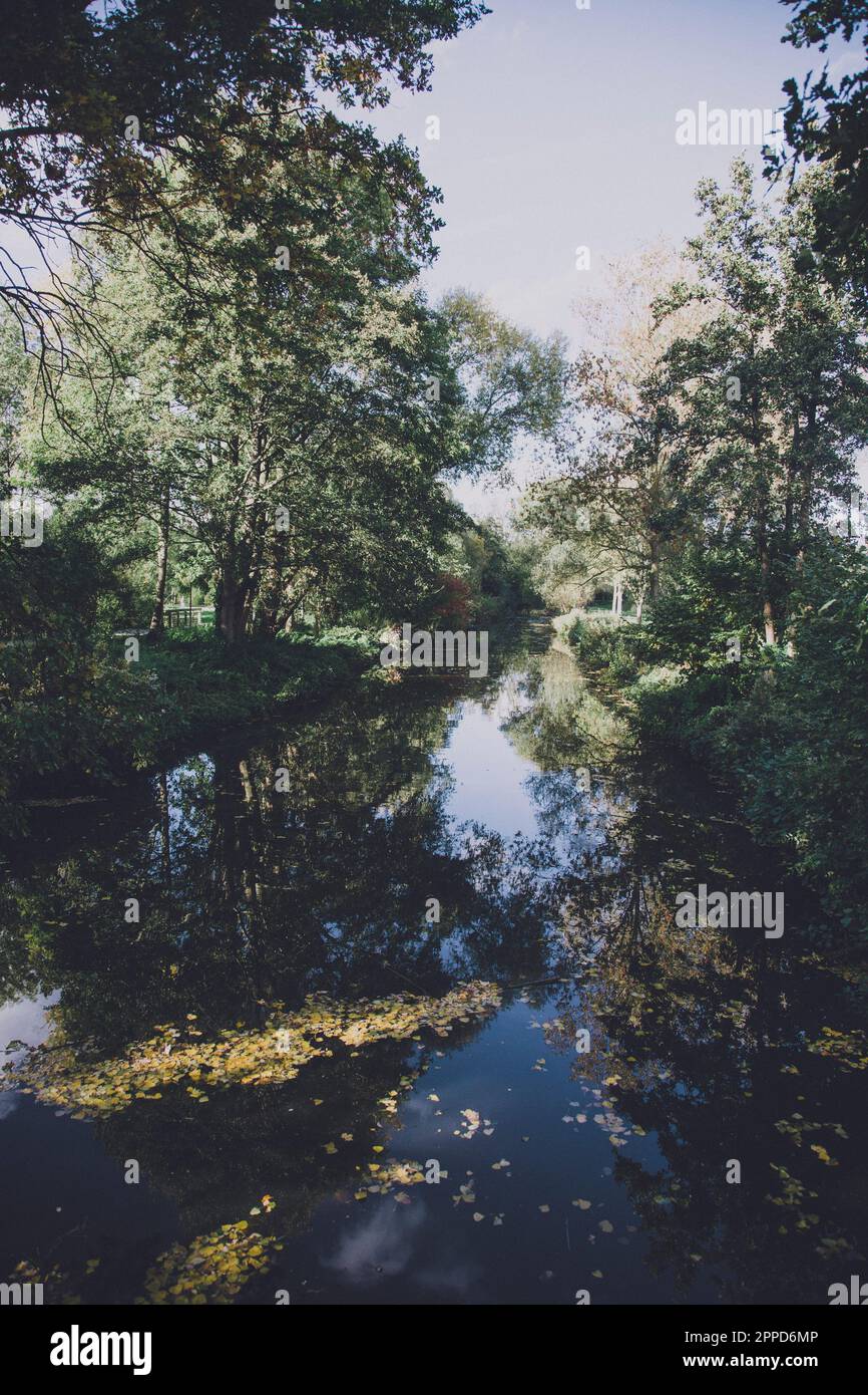 Lake reflecting surrounding trees in early autumn Stock Photo - Alamy