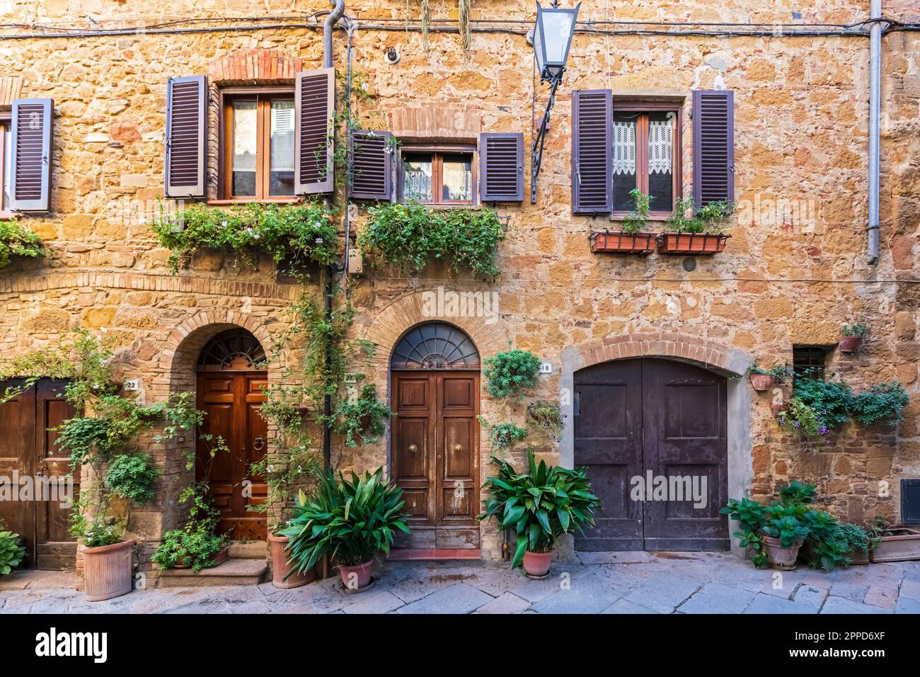 Italy, Tuscany, Pienza, Plants potted in front of front doors of two ...