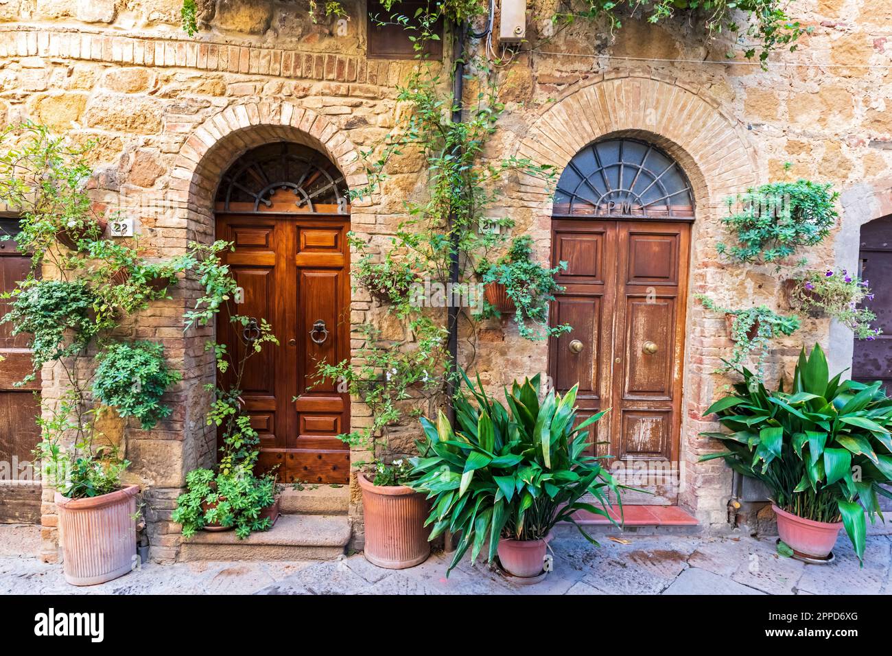 Plants potted front doors two side by side houses hi-res stock ...