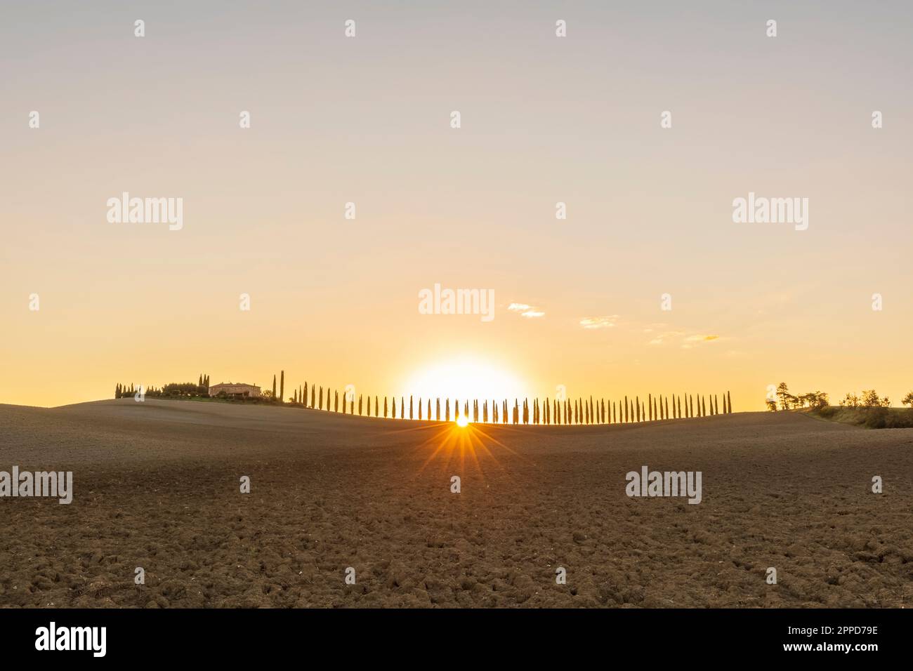 Italy, Tuscany, Castiglione d'Orcia, Sun rising over line of cypress ...