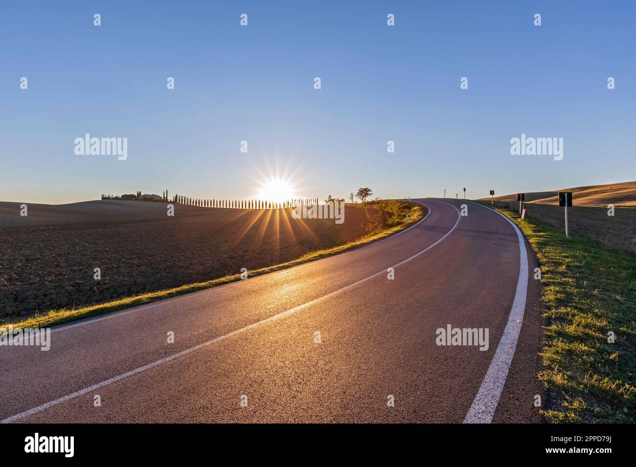 Italy, Tuscany, Castiglione d'Orcia, Sun rising over asphalt road ...