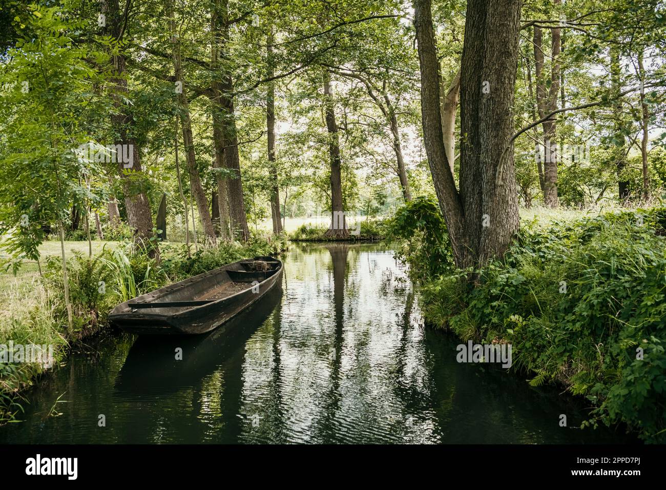 Boat at canal amidst trees Stock Photo - Alamy