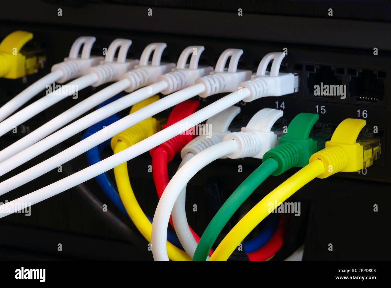 Multi Colored Network Cables Connected to Switch, network technology ...