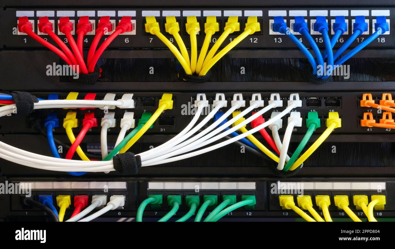 Multi Colored Network Cables Connected to Switch, network technology ...