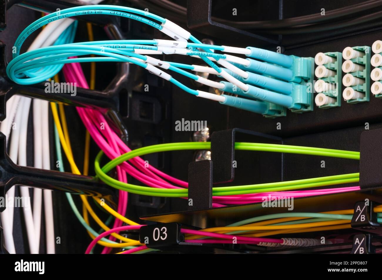 Multi Colored Network Cables Connected to Switch, network technology ...