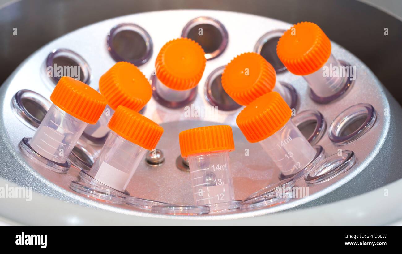 Test tube row. Concept of medical or science laboratory Stock Photo - Alamy