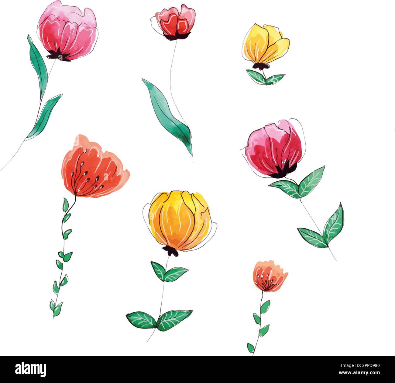bright colorful flowers, watercolor painting vector. Spring ...