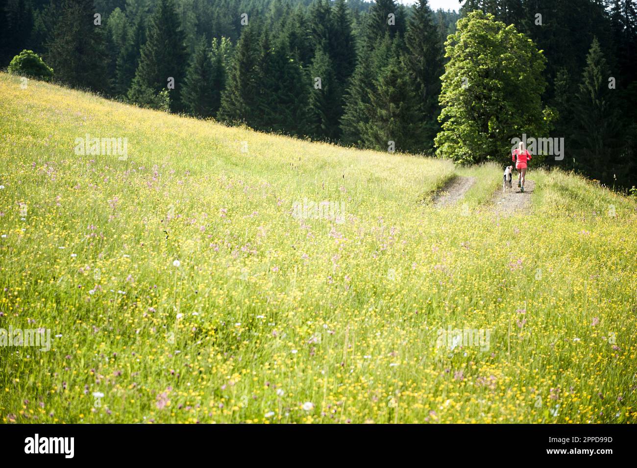 Fitness woman running in meadow hi-res stock photography and images - Alamy