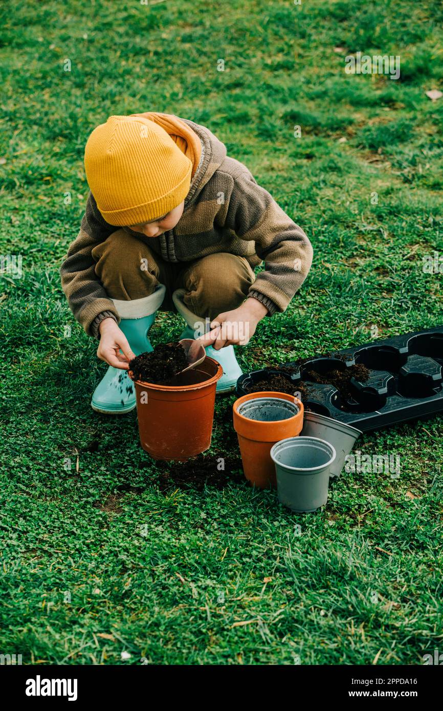 Boy planting zucchini seeds in pods crouching in garden Stock Photo - Alamy