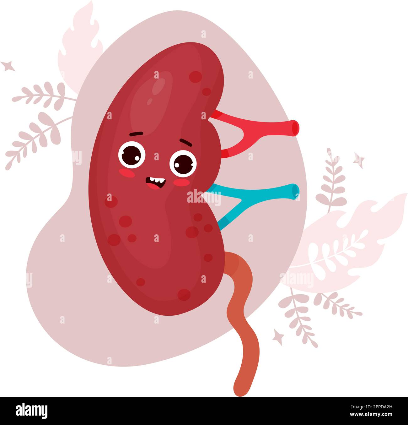 Cute cartoon kidney. Funny human organ. Vector flat cartoon character ...