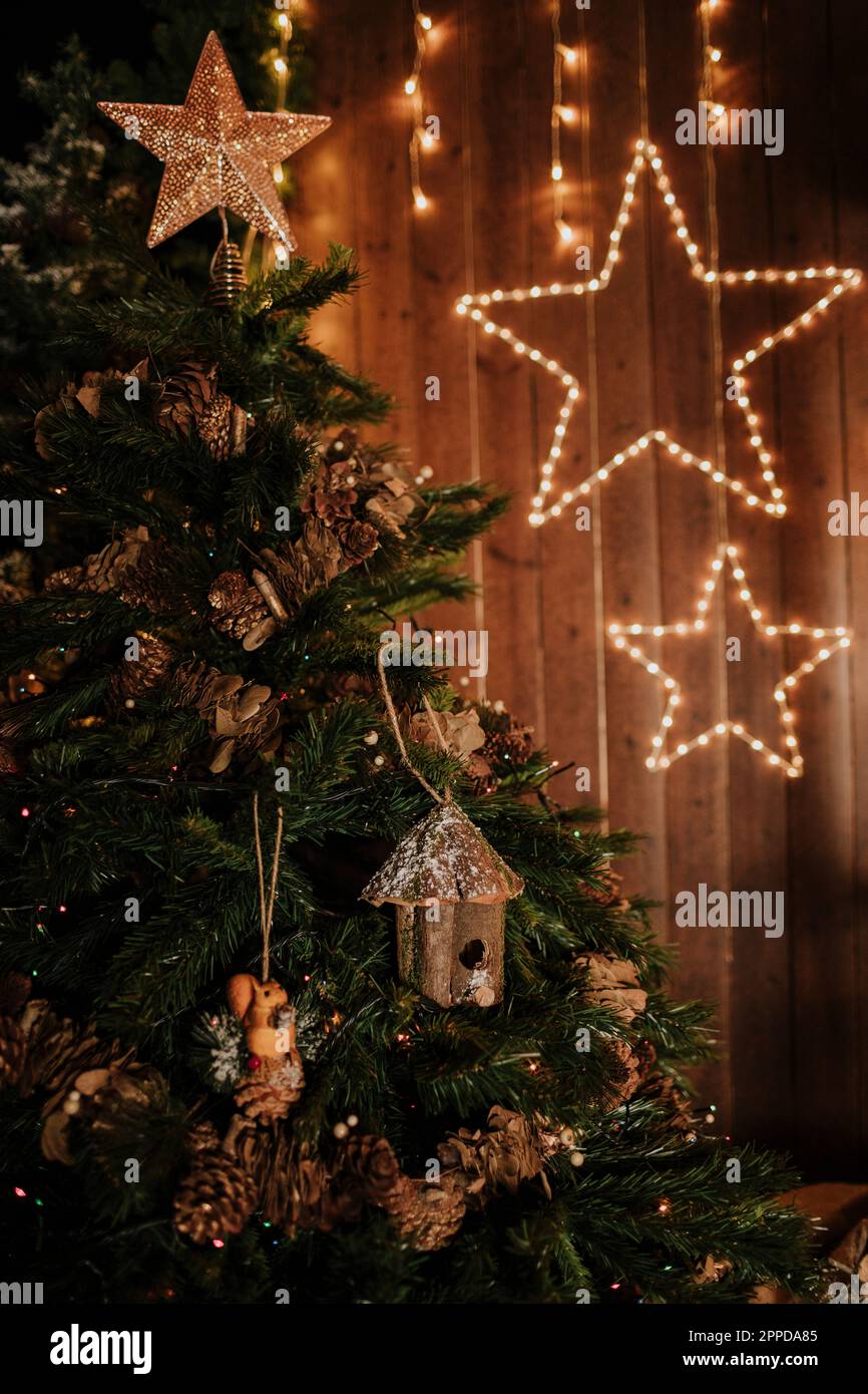 Christmas tree with star shape lights in background Stock Photo - Alamy