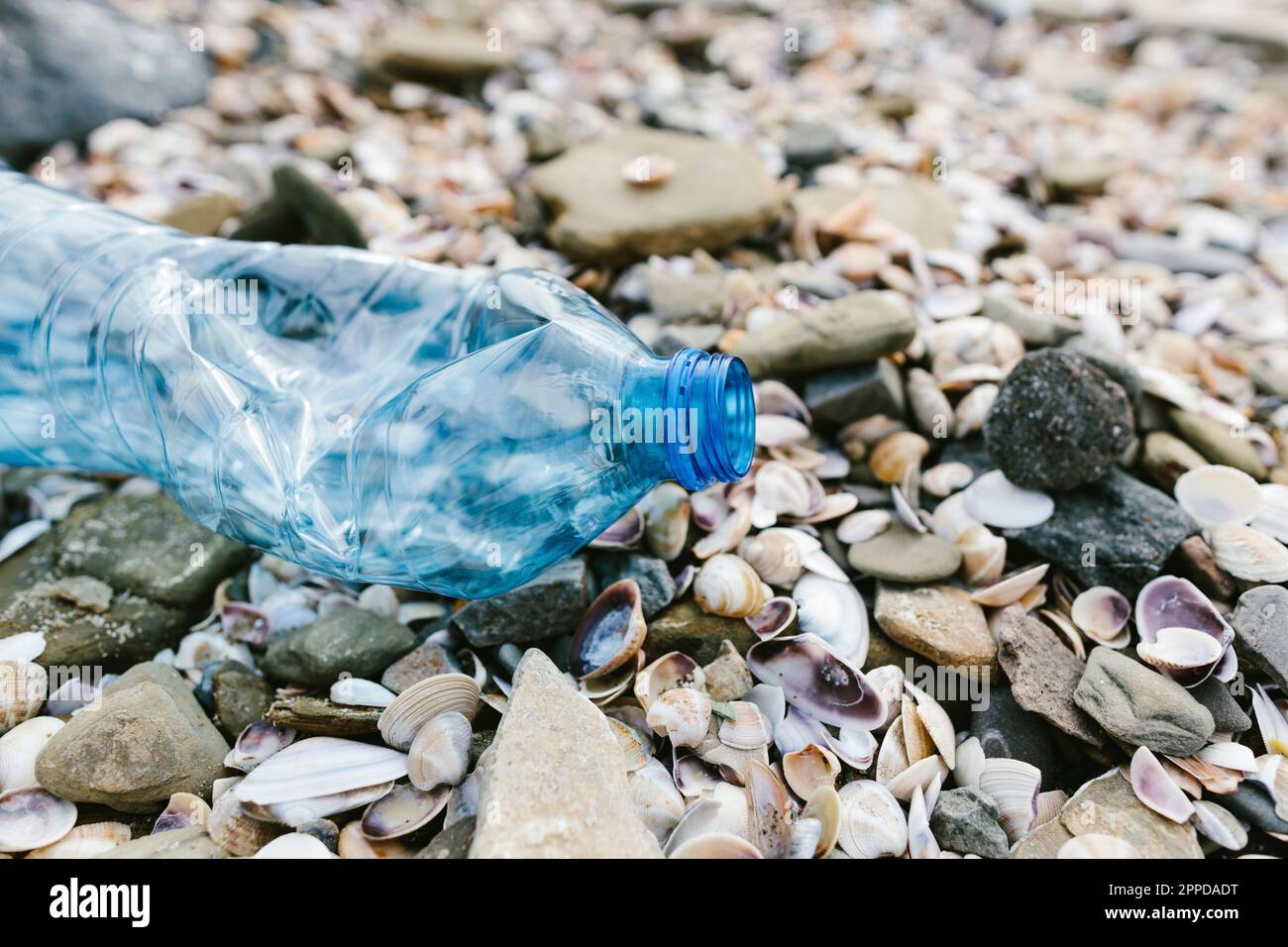 Plastic bottle with seashells at beach Stock Photo - Alamy