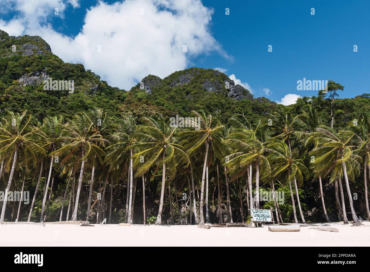 Trees on beach side hi-res stock photography and images - Alamy