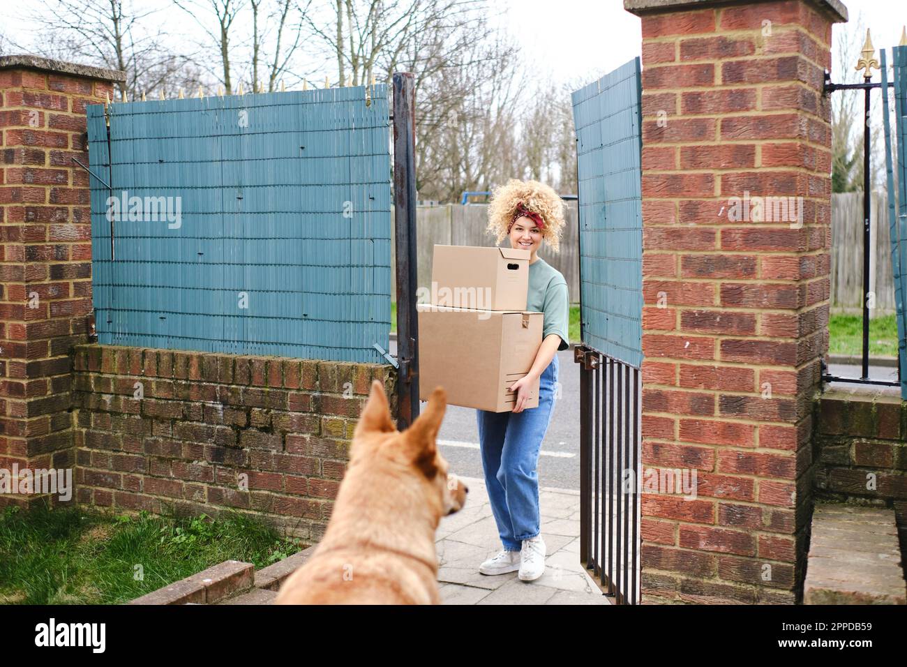 Happy young woman delivering packages entering through gate Stock Photo - Alamy