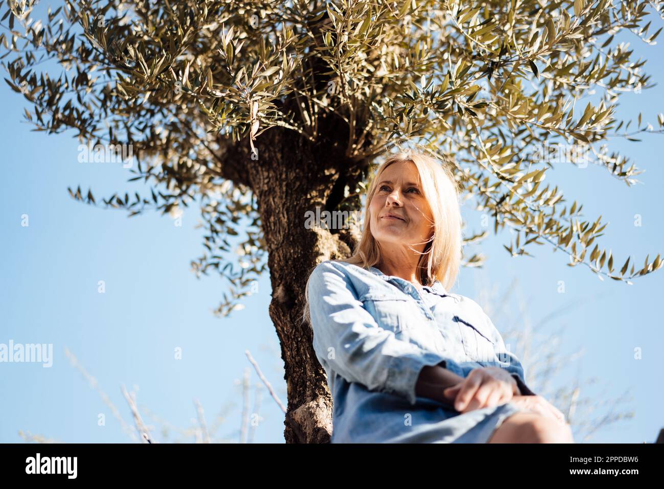 Mature woman tree hi-res stock photography and images - Alamy