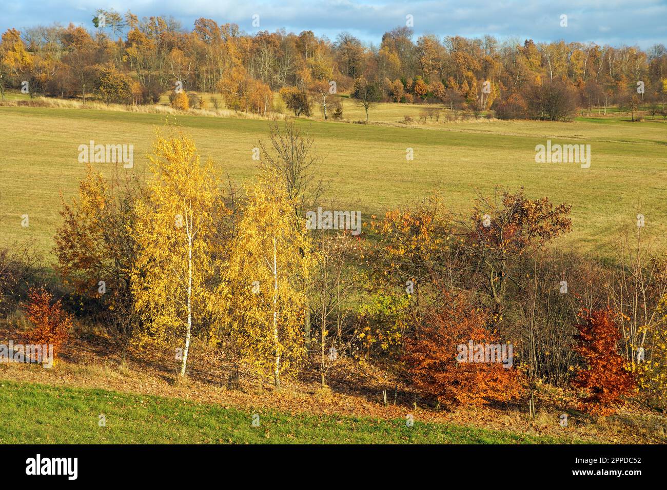 autumny scenery from Bohemian and Moravian highland - Czech Republic ...