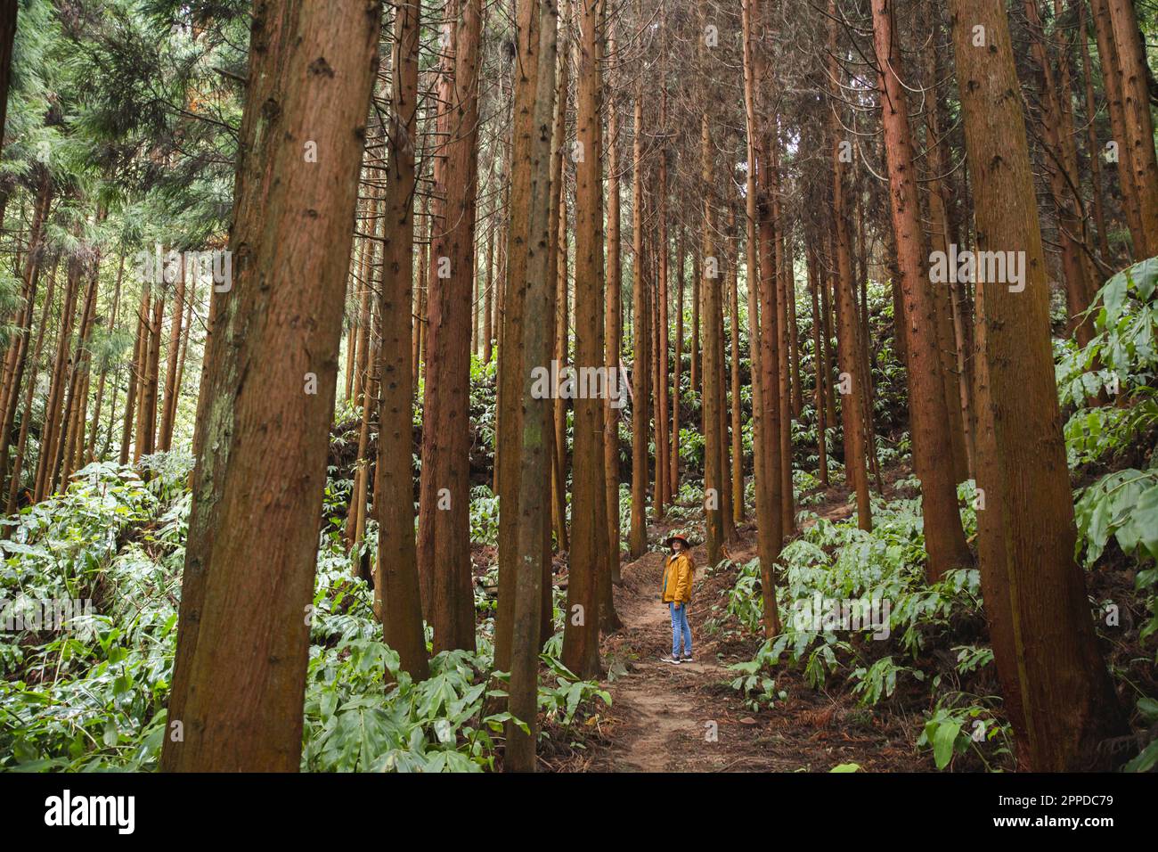 Tall woman standing hi-res stock photography and images - Alamy