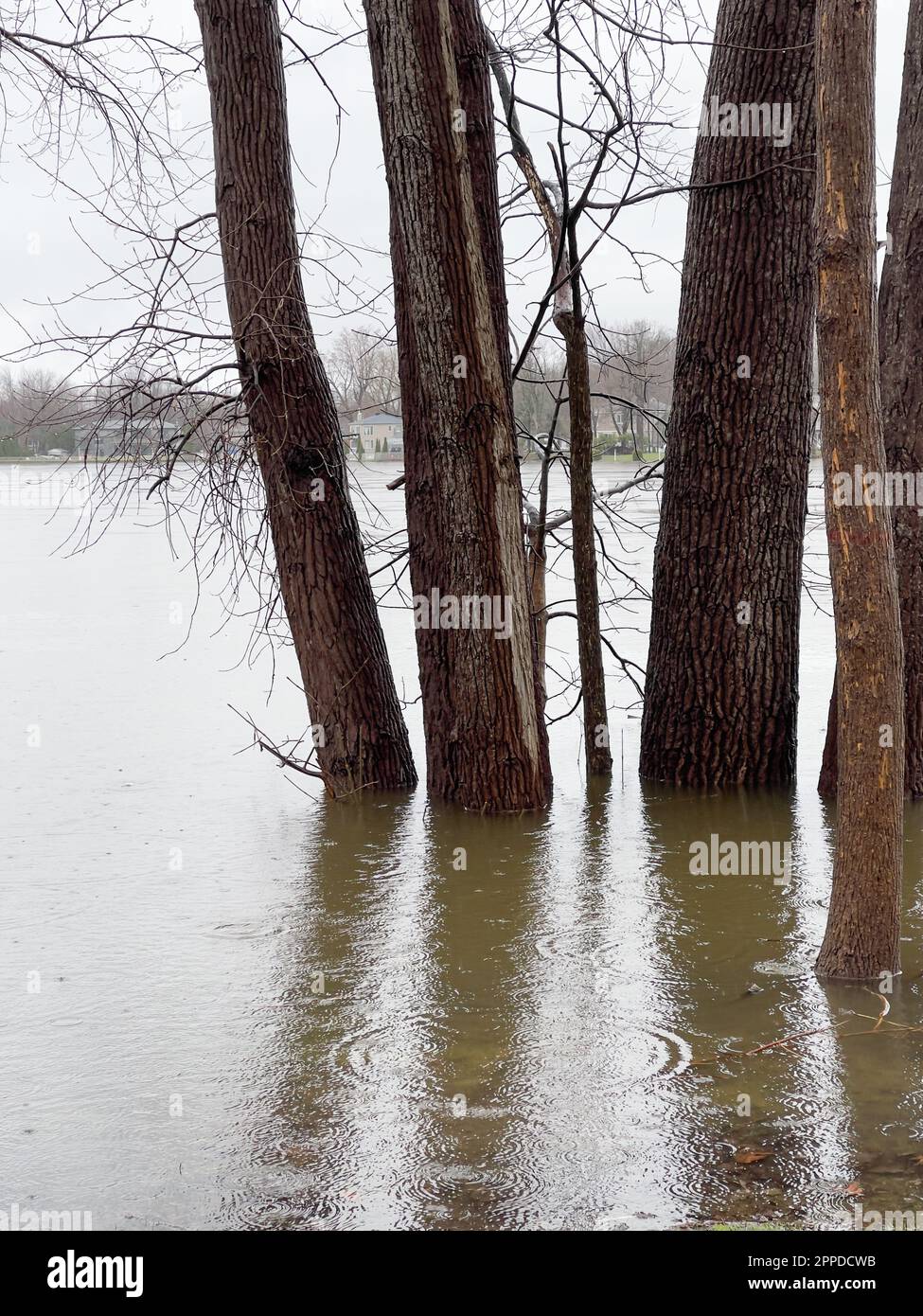 The 2023 Spring Flood - Pierrefonds-Roxboro, Montreal Stock Photo - Alamy