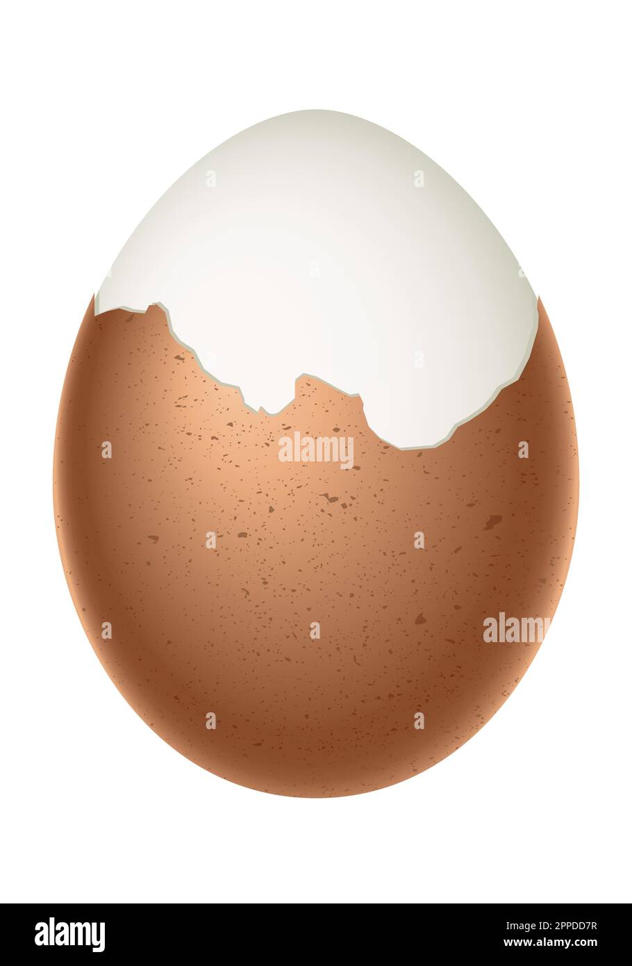 partially peeled egg, boiled egg with half peeled shell, illustration ...