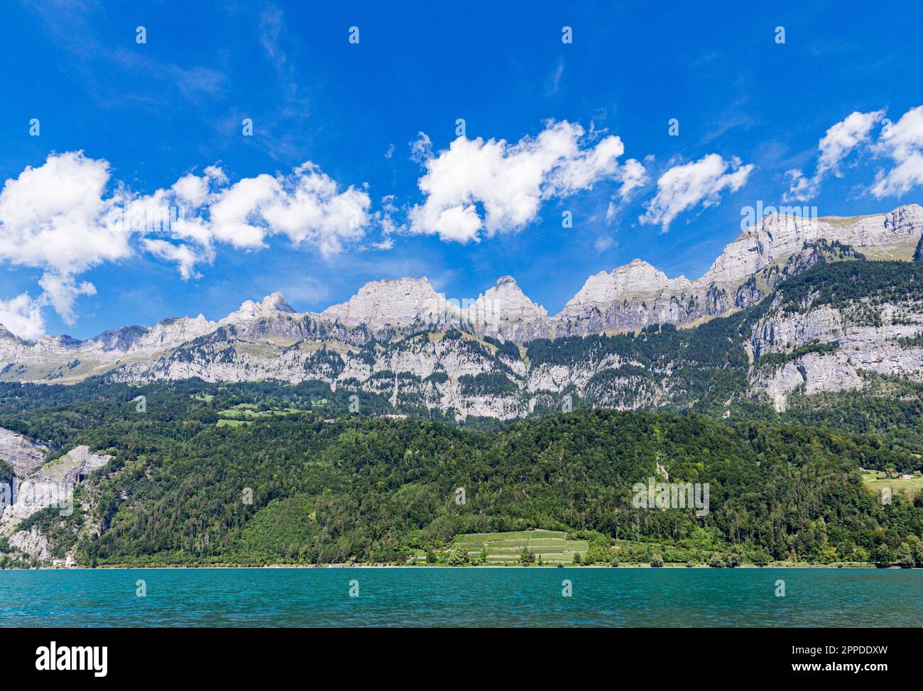 Walen hi-res stock photography and images - Alamy