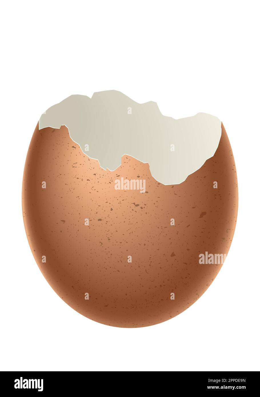 Egg shell - illustration of cracked eggshell on white background Stock ...