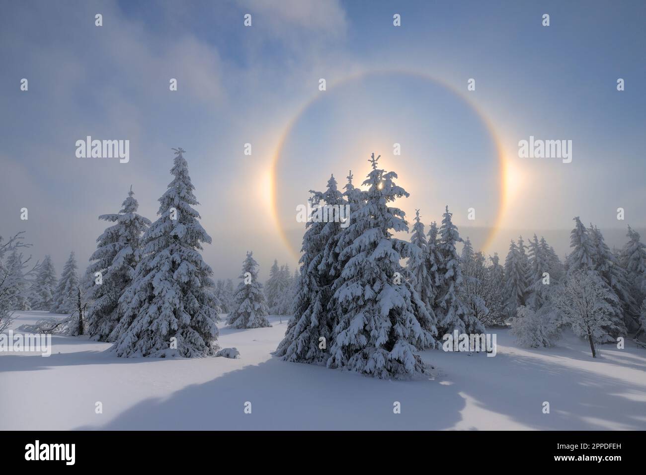 Halo around sun setting snow covered forest erzgebirge range hi-res ...