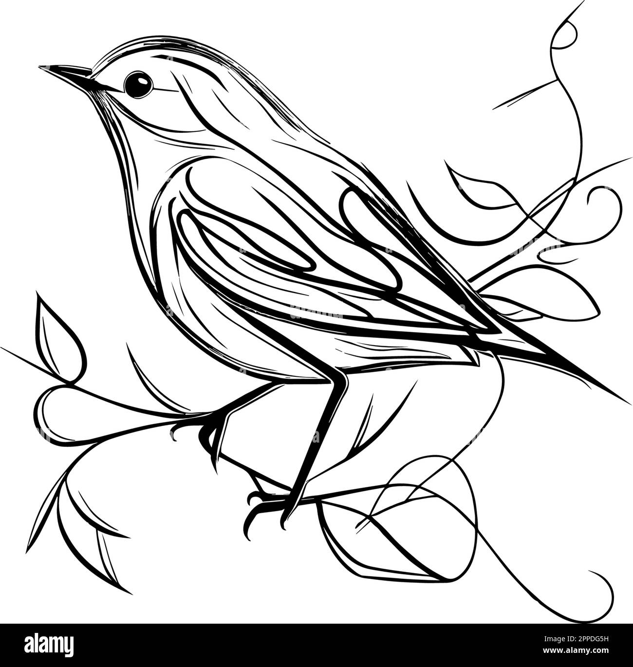 Bird illustration with simple lines isolated on white background ...