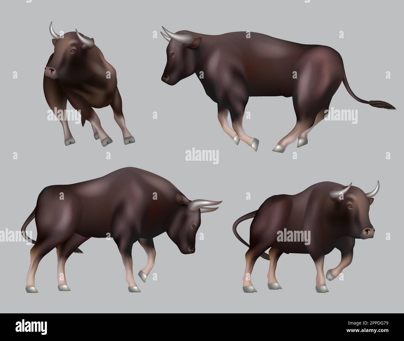 Bull realistic. Wild animal investments business symbol decent vector ...