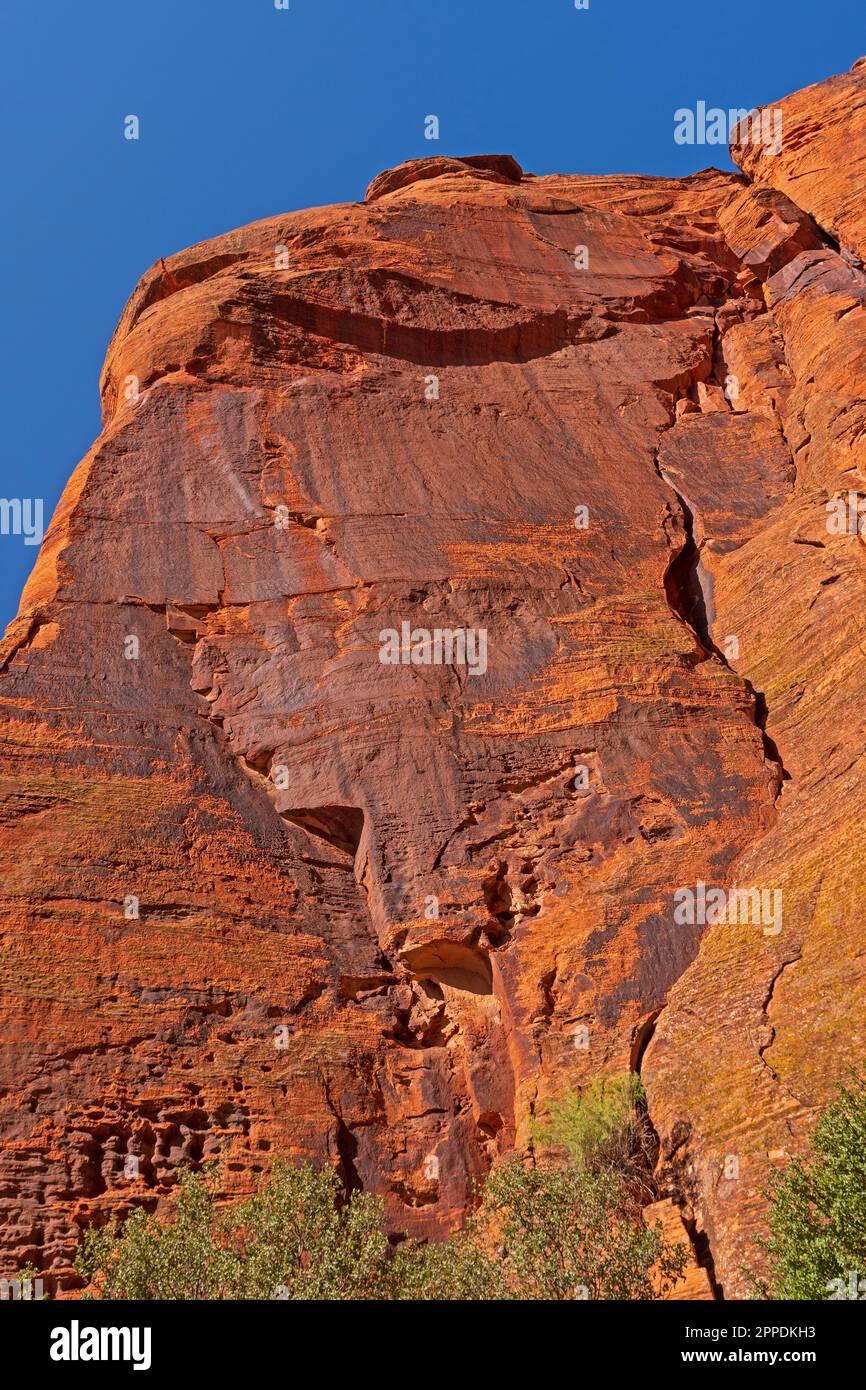 Spectacular Red Rock Wall in the Desert in Snow Canyon State Park in ...