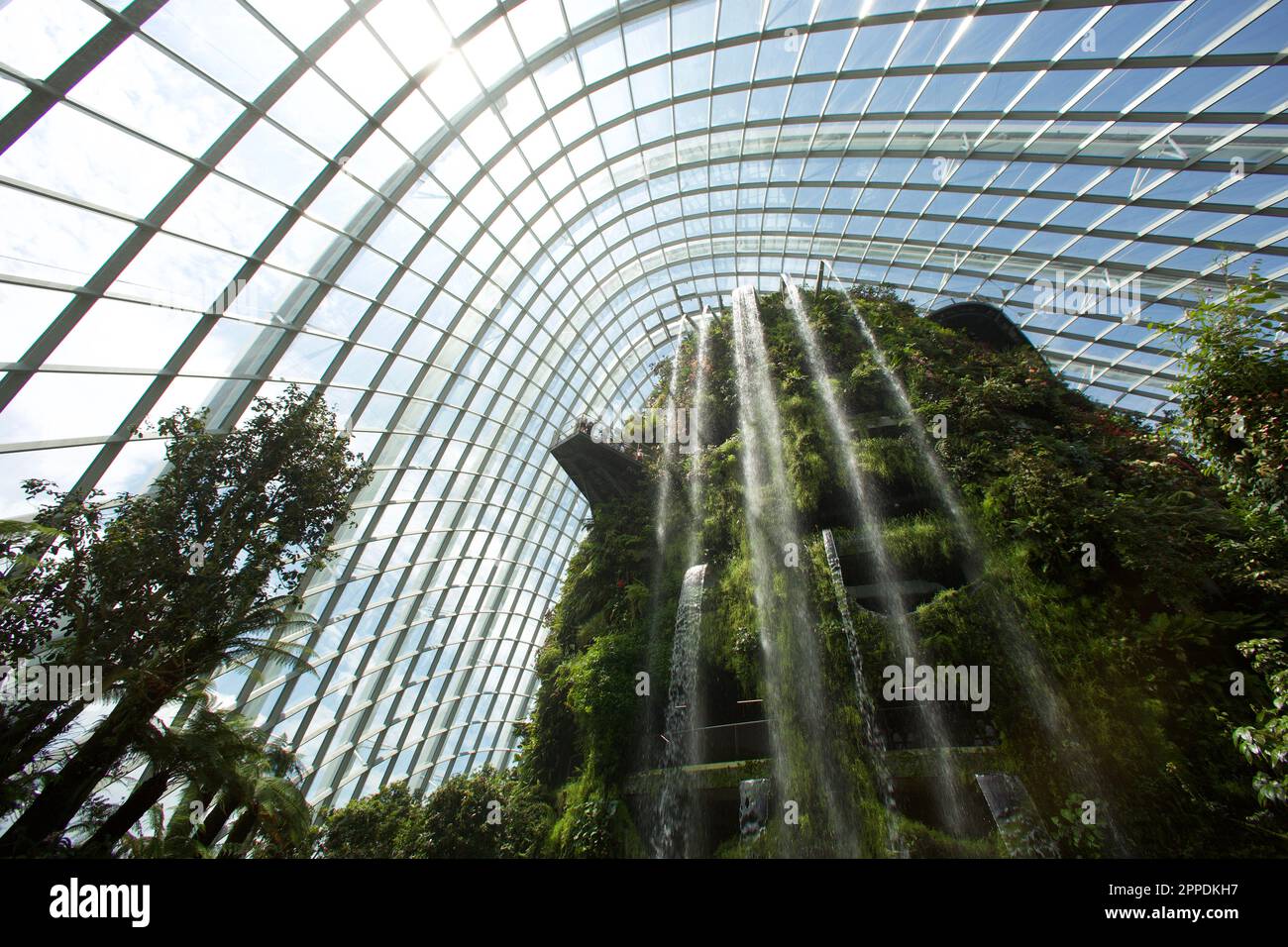 Singaporean singaporeans hi-res stock photography and images - Alamy
