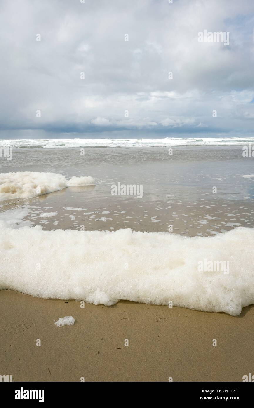 Sea foam on beach Stock Photo - Alamy