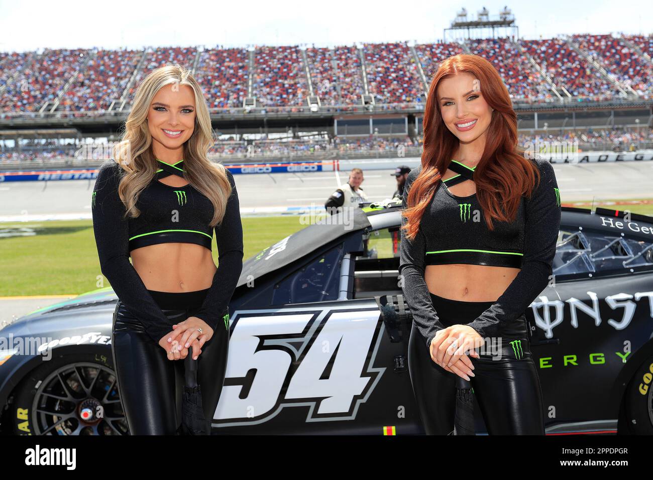 TALLADEGA, AL - APRIL 23: Monster girls with the #54 car of Ty Gibbs ...