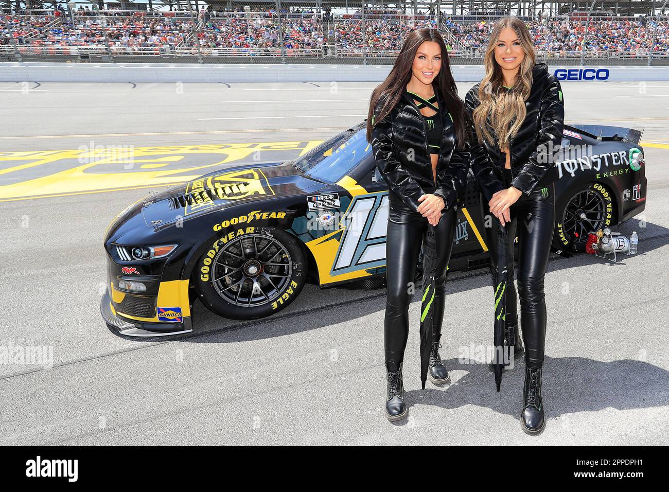 Monster Energy Cars And Girls