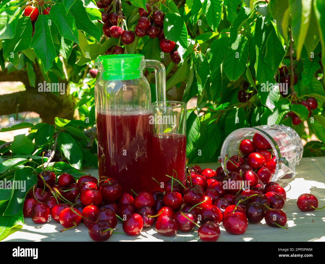 Planted jug hi-res stock photography and images - Alamy