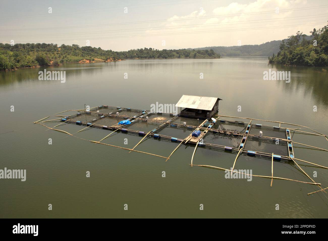Freshwater fish farm in Kampar, Riau, Indonesia Stock Photo - Alamy