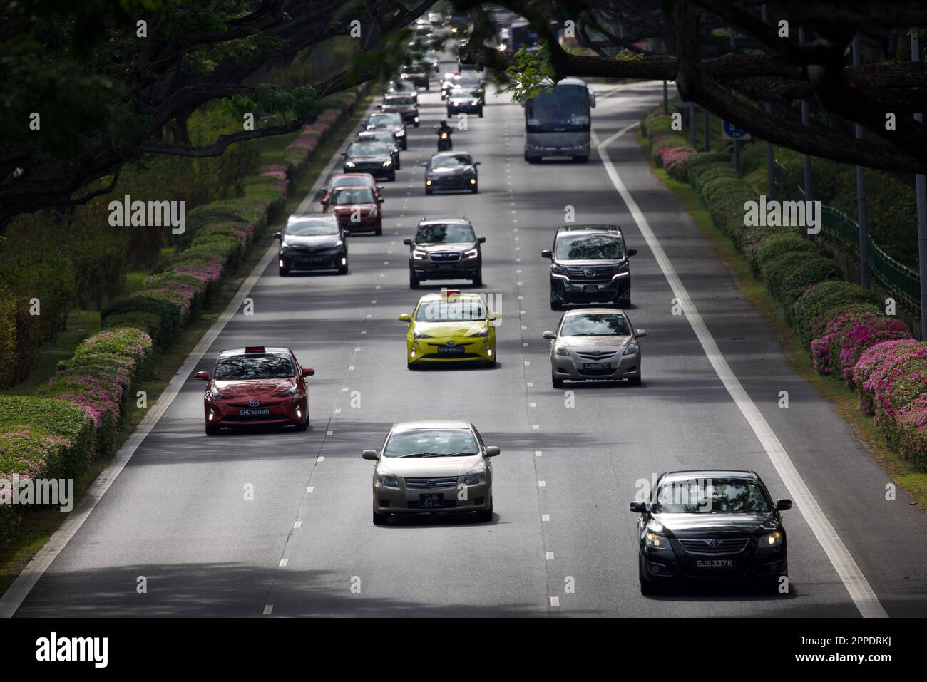 Singapore ecp hi-res stock photography and images - Alamy