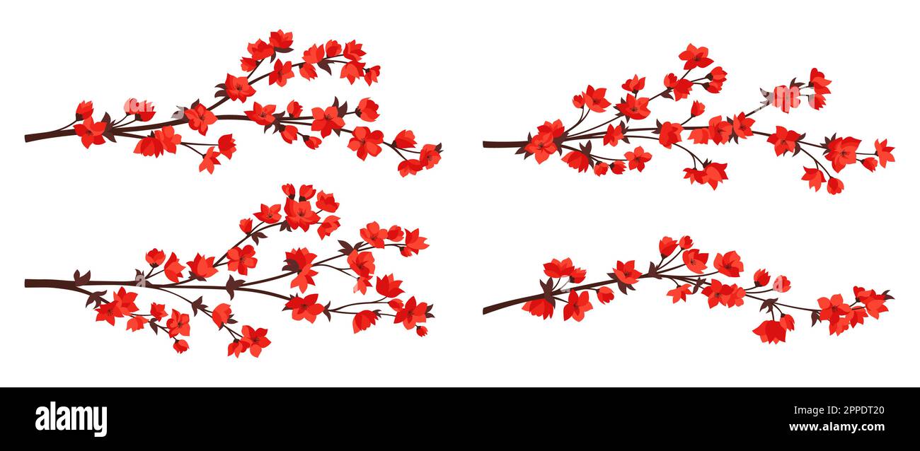 Cherry blossom sakura twigs with red flowers collection. Elegant ...