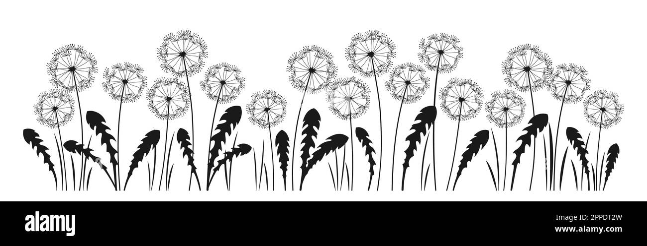 Dandelion ink silhouette illustration. Abstract flowers dandelions ...