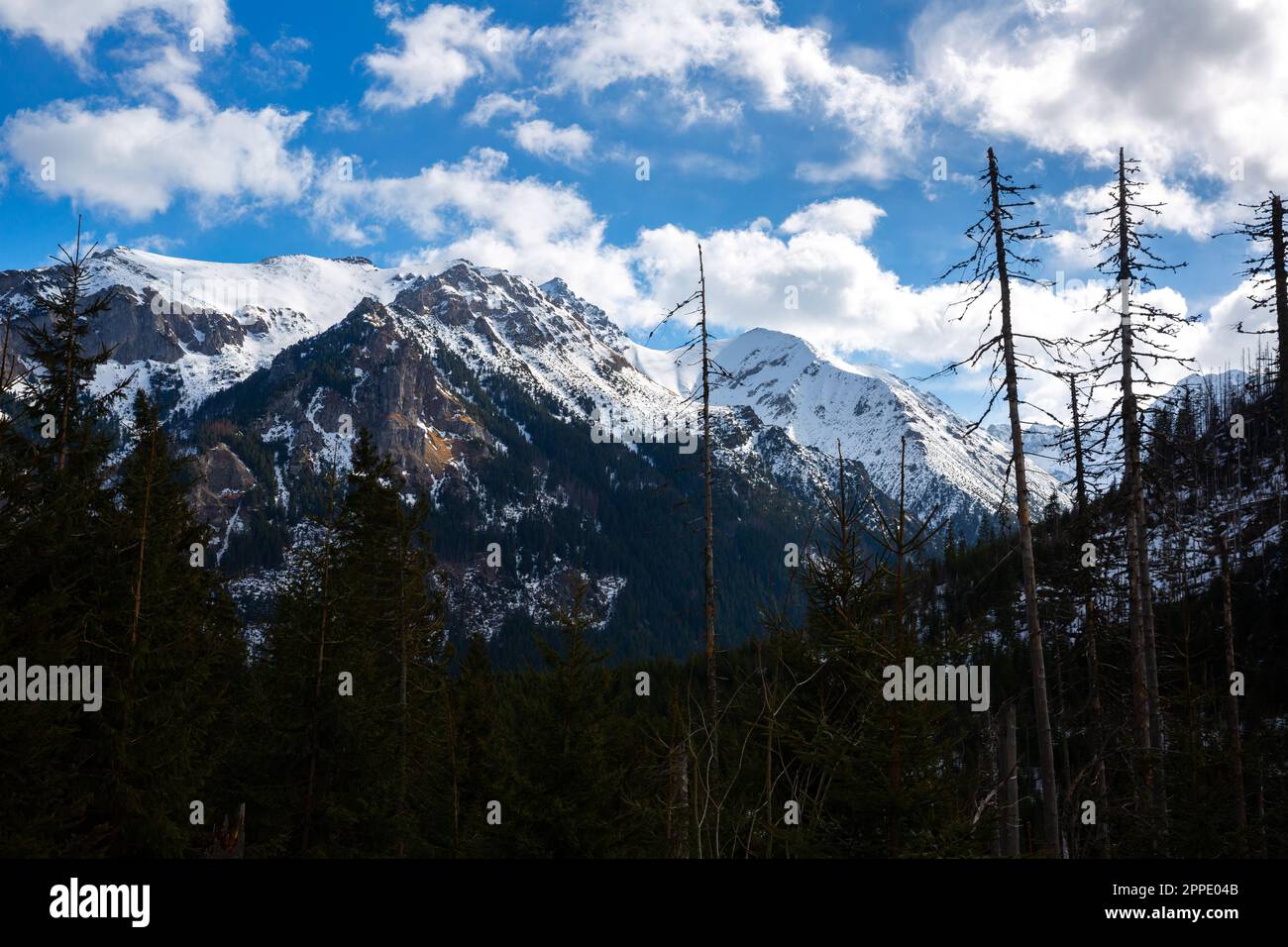 High Tatras mountains panorama with snow and forest Stock Photo - Alamy