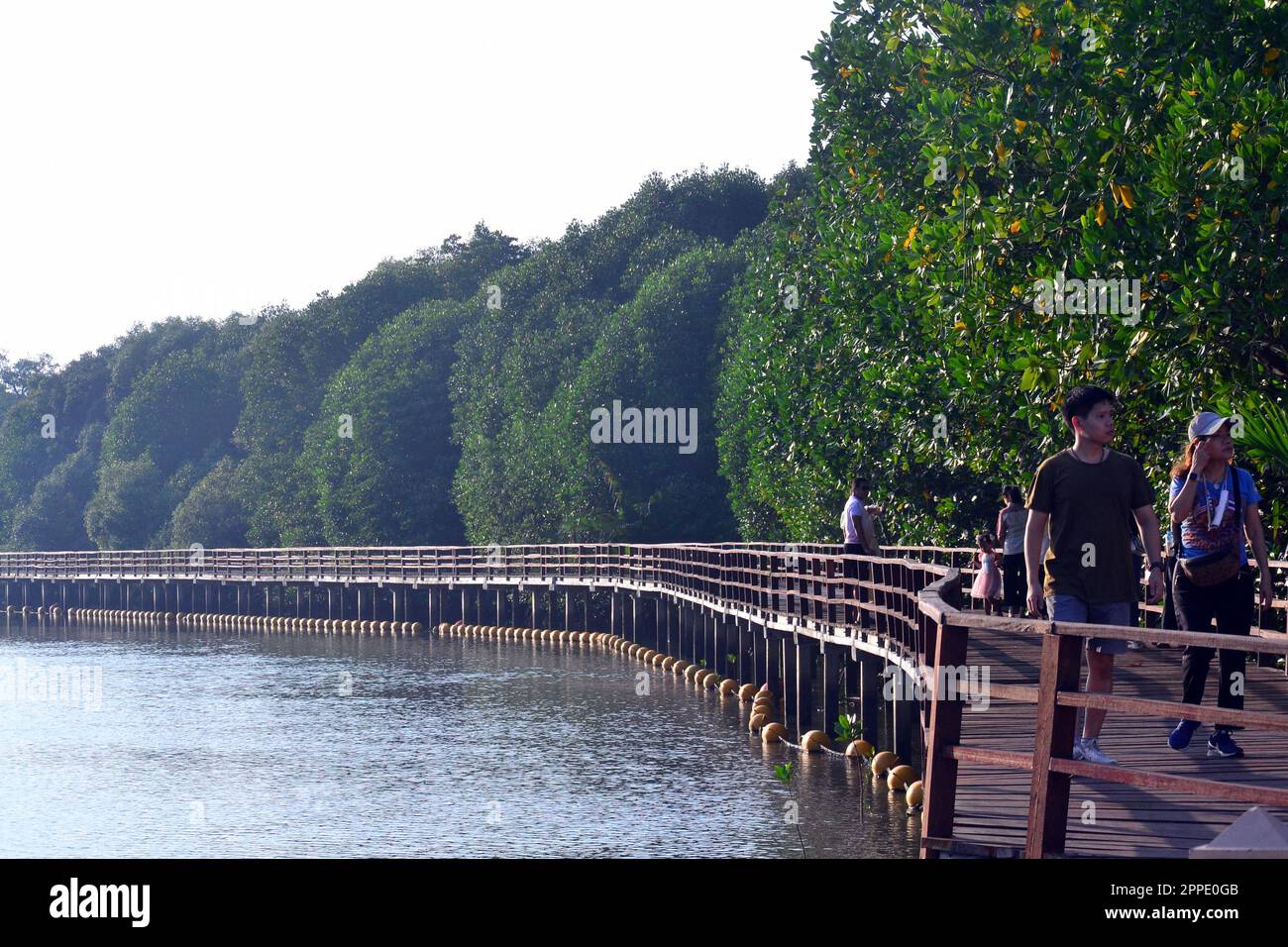 People walking at the Prasae Rayong Mangrove Forest boardwalk or ...