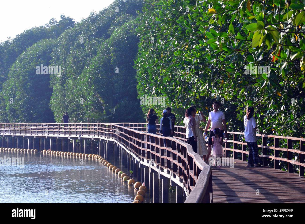 Prasae rayong mangrove forest boardwalk hi-res stock photography and ...