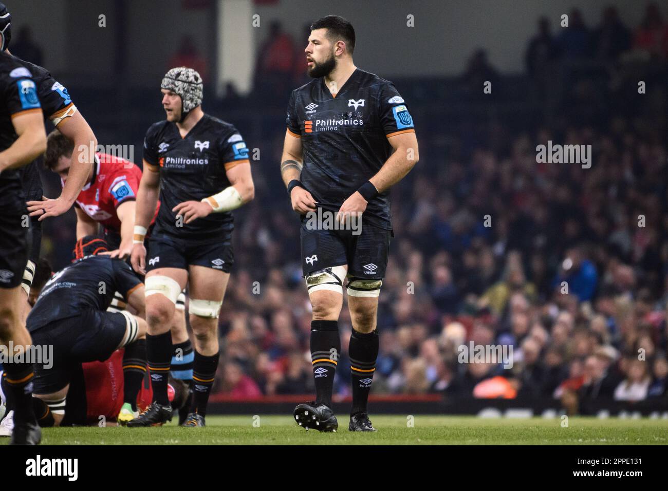 Rhys davies rugby hi-res stock photography and images - Alamy