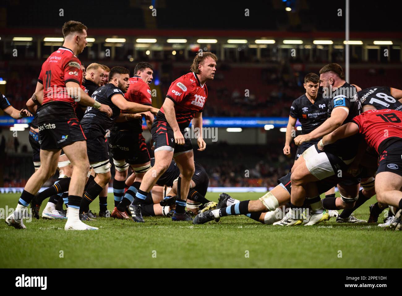 Cardiff rugby urc hi-res stock photography and images - Alamy