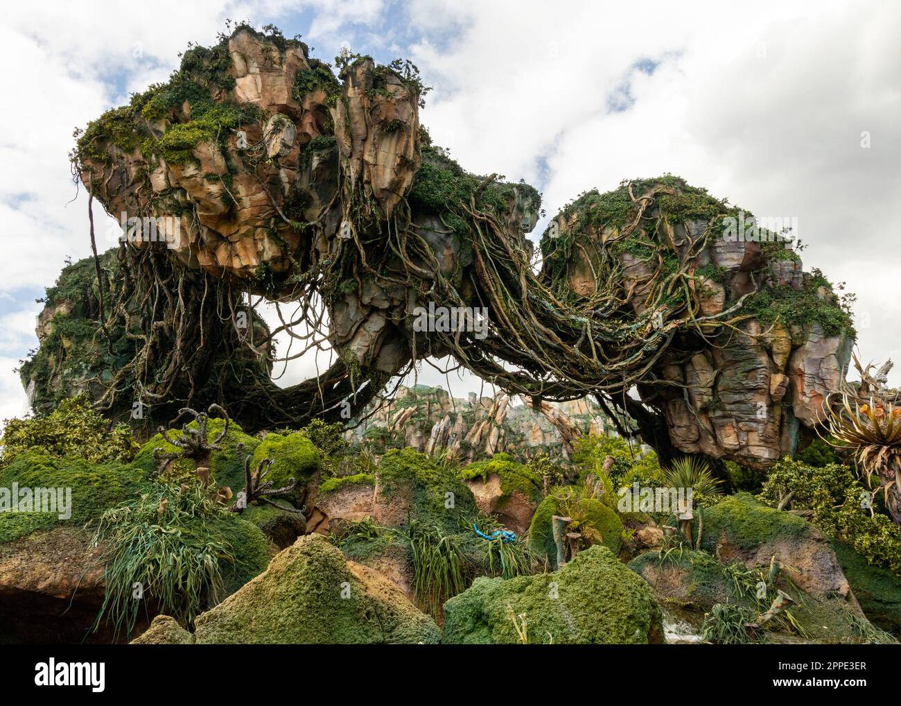 The amazing world of Pandora Stock Photo - Alamy