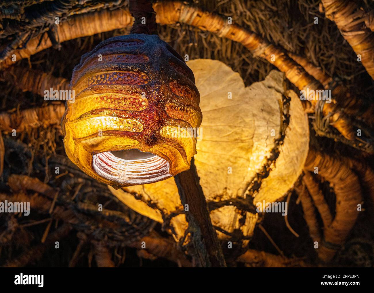 The amazing world of Pandora Stock Photo - Alamy
