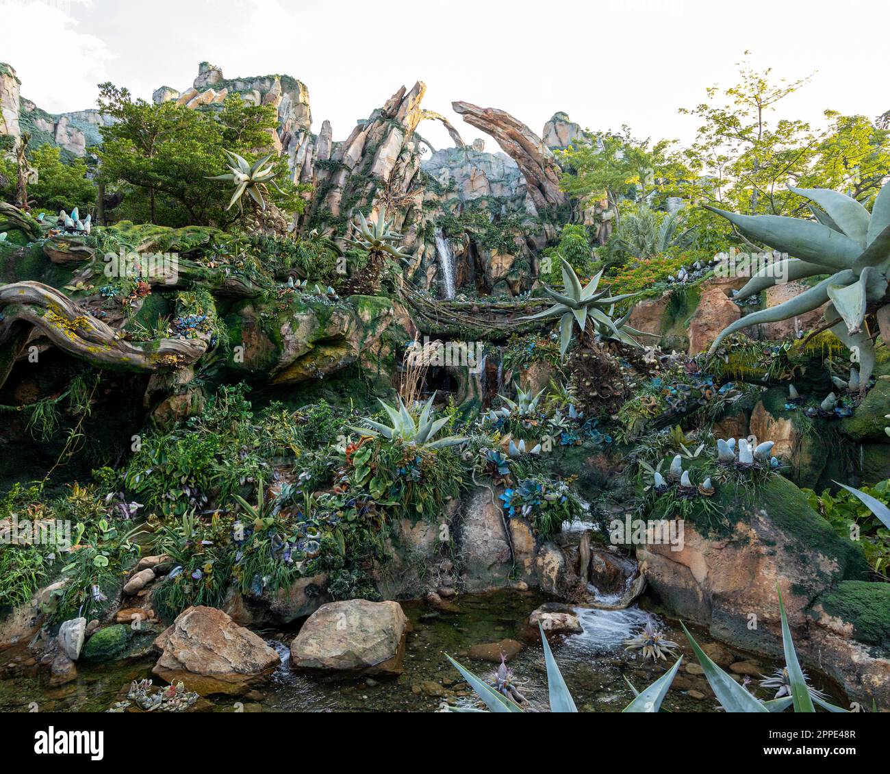 The amazing world of Pandora Stock Photo - Alamy