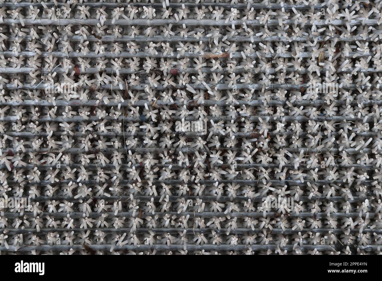 Outdoor carpet fibers closeup. Macro view of door mat carpet bristles ...