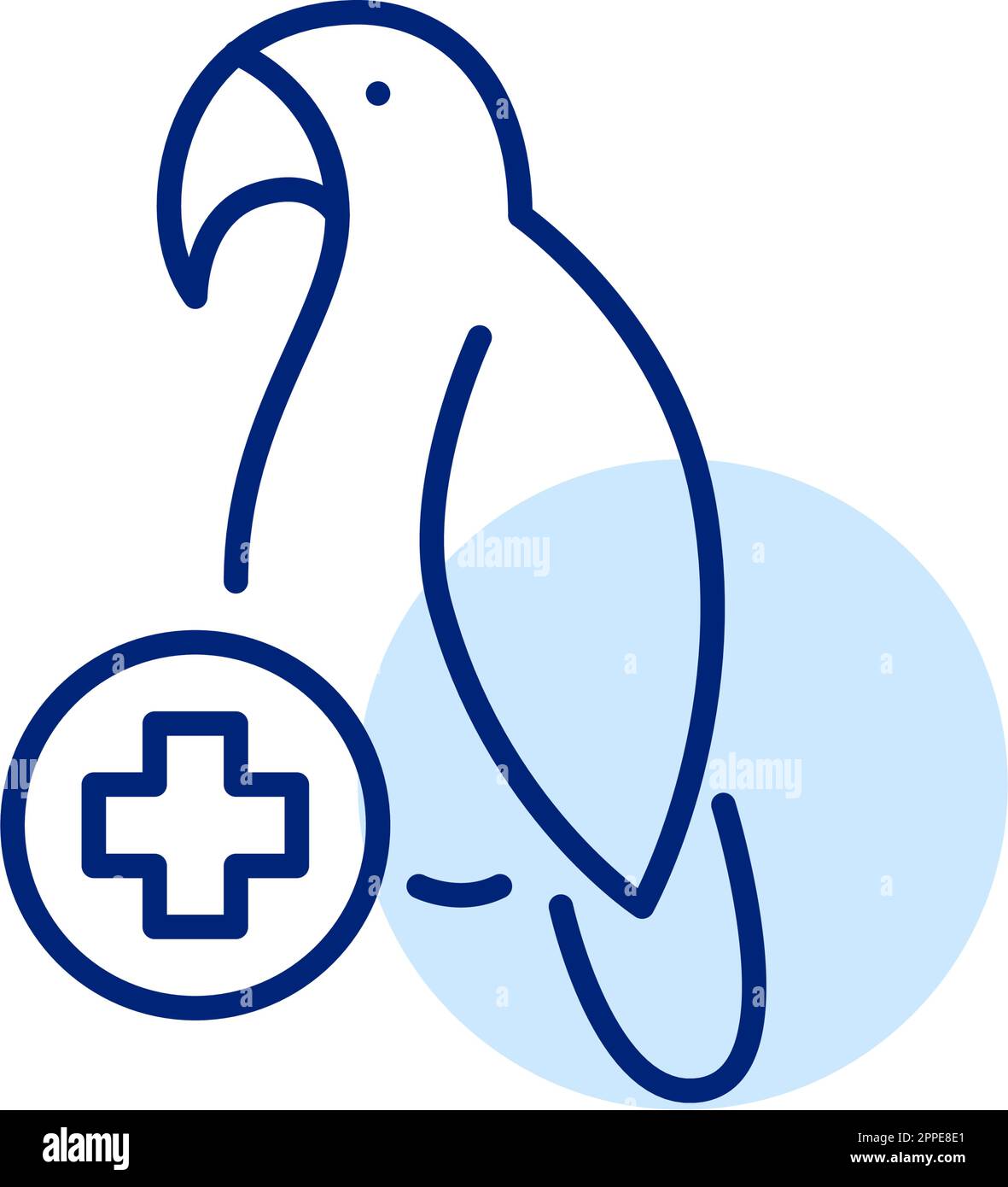 Veterinary treatment parrot hi-res stock photography and images - Alamy