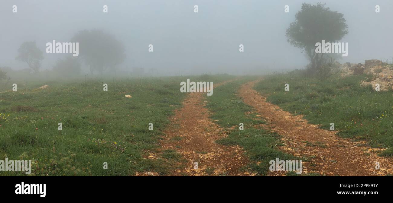 Beautiful landscape with fog and a road receding into the distance on ...